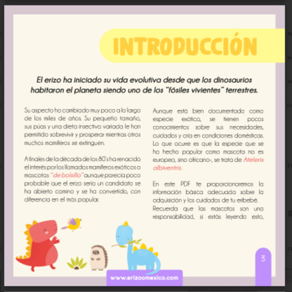 Manual de cuidados para erizo EBOOK - Erizoo México