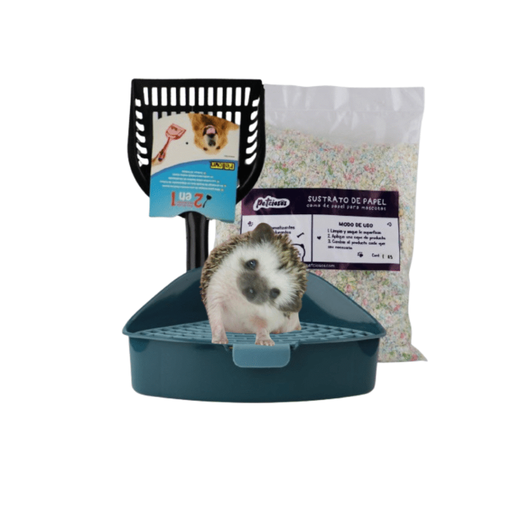 Kit letrina premium - Erizoo México